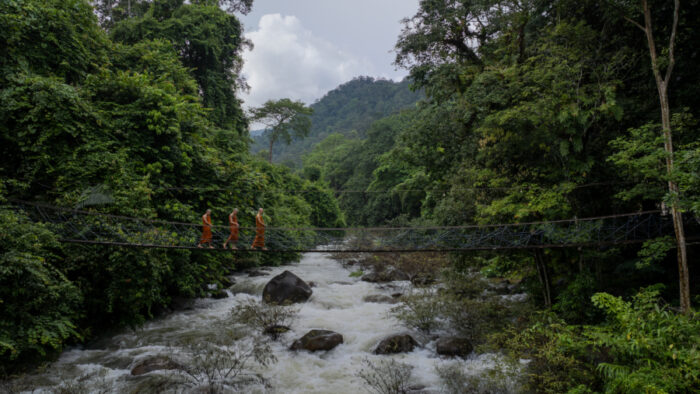หยุดเวลาไว้ที่…ทุ่งเพล Unseen Green Route เติมพลังสีเขียวกลางผืนป่า ...