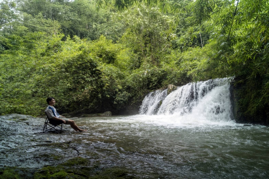หยุดเวลาไว้ที่…ทุ่งเพล Unseen Green Route เติมพลังสีเขียวกลางผืนป่า ...